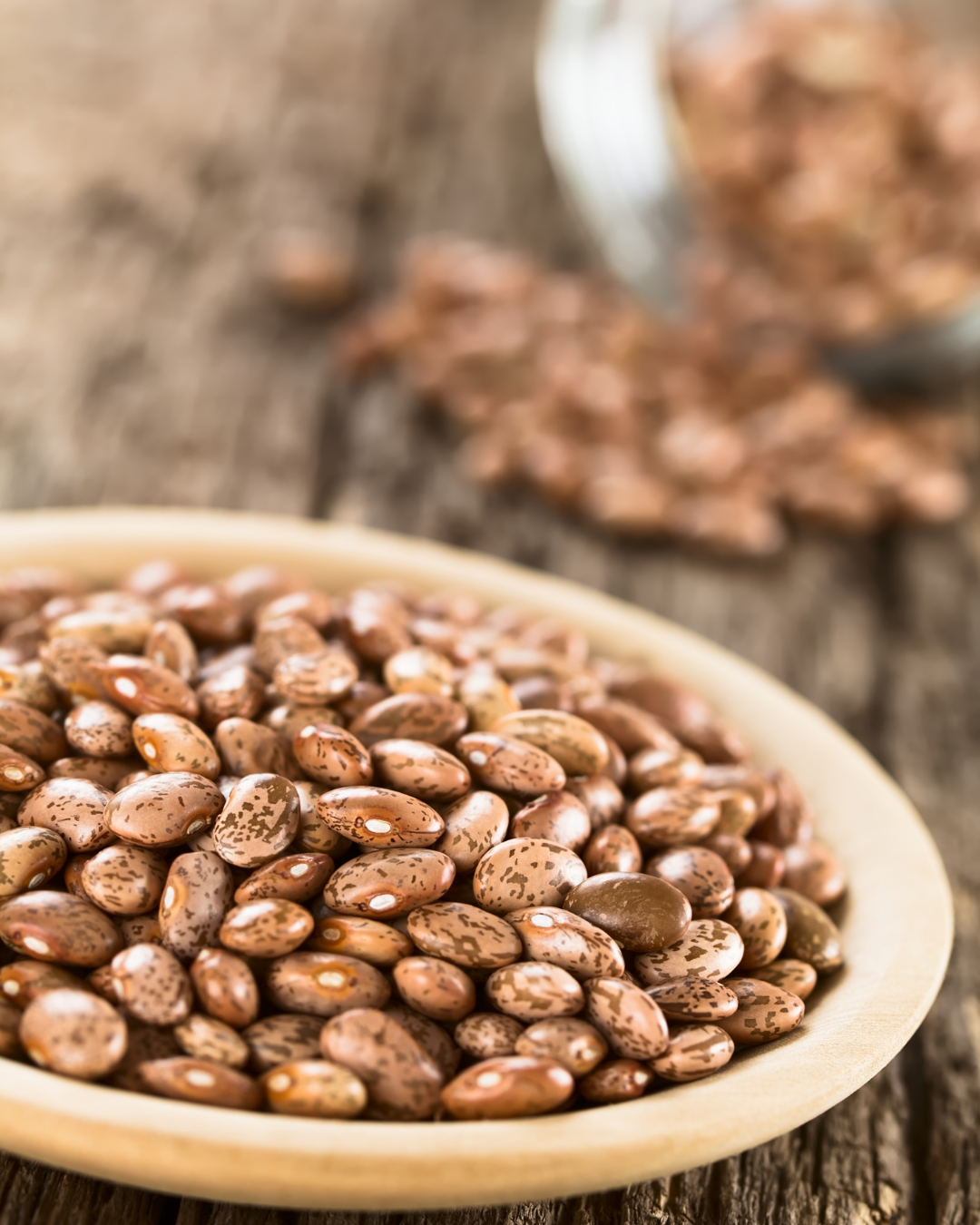 Yellowstone Soup Company – Yellowstone Soup Co.